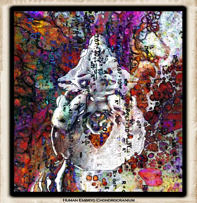 Abstract Anatomy Grey Cross Studios Scrolller