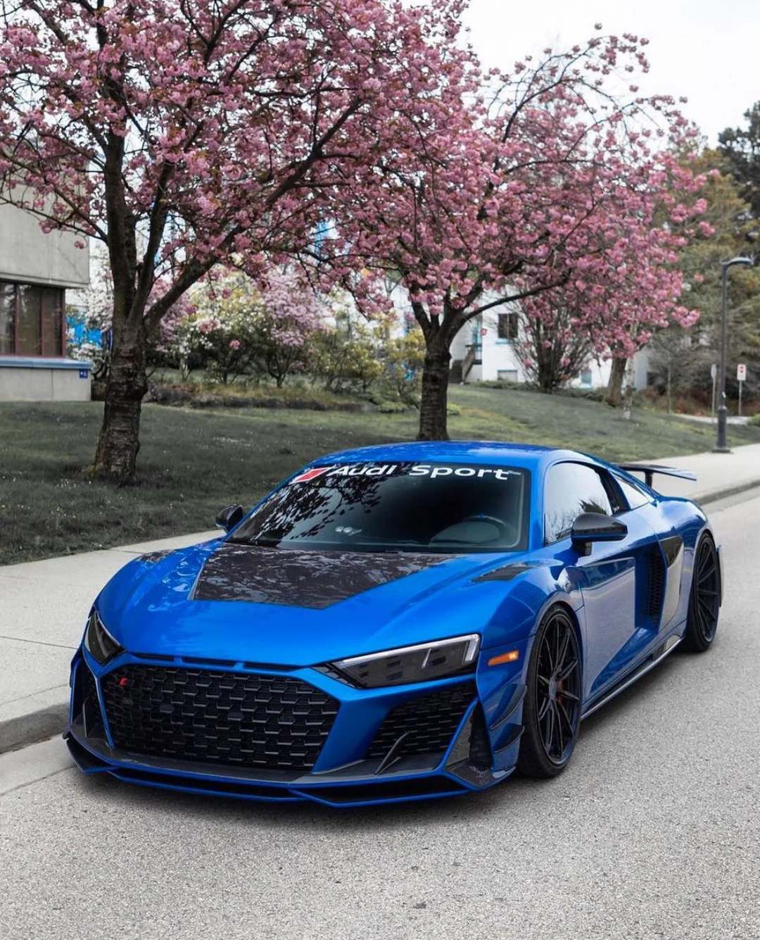 Audi R8 [1080x1350] | Scrolller