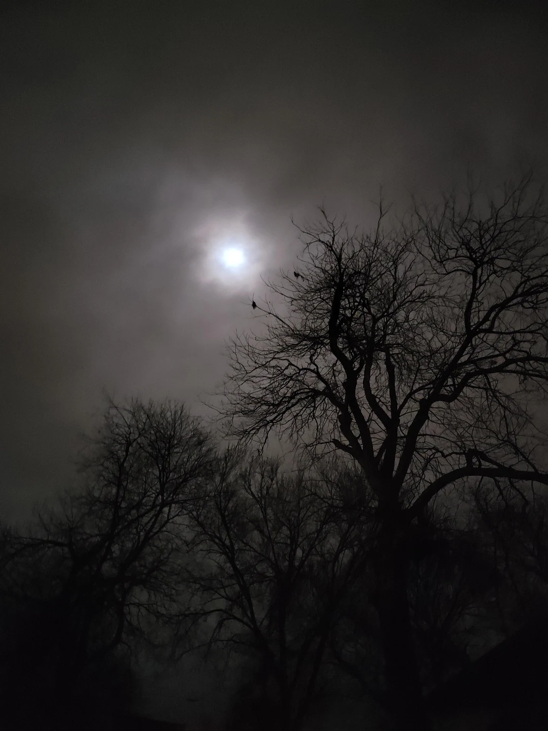 Pretty cloudy night. | Scrolller