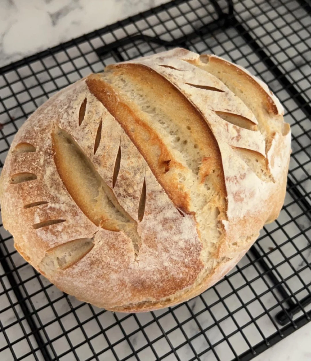 Sourdough Loaf | Scrolller