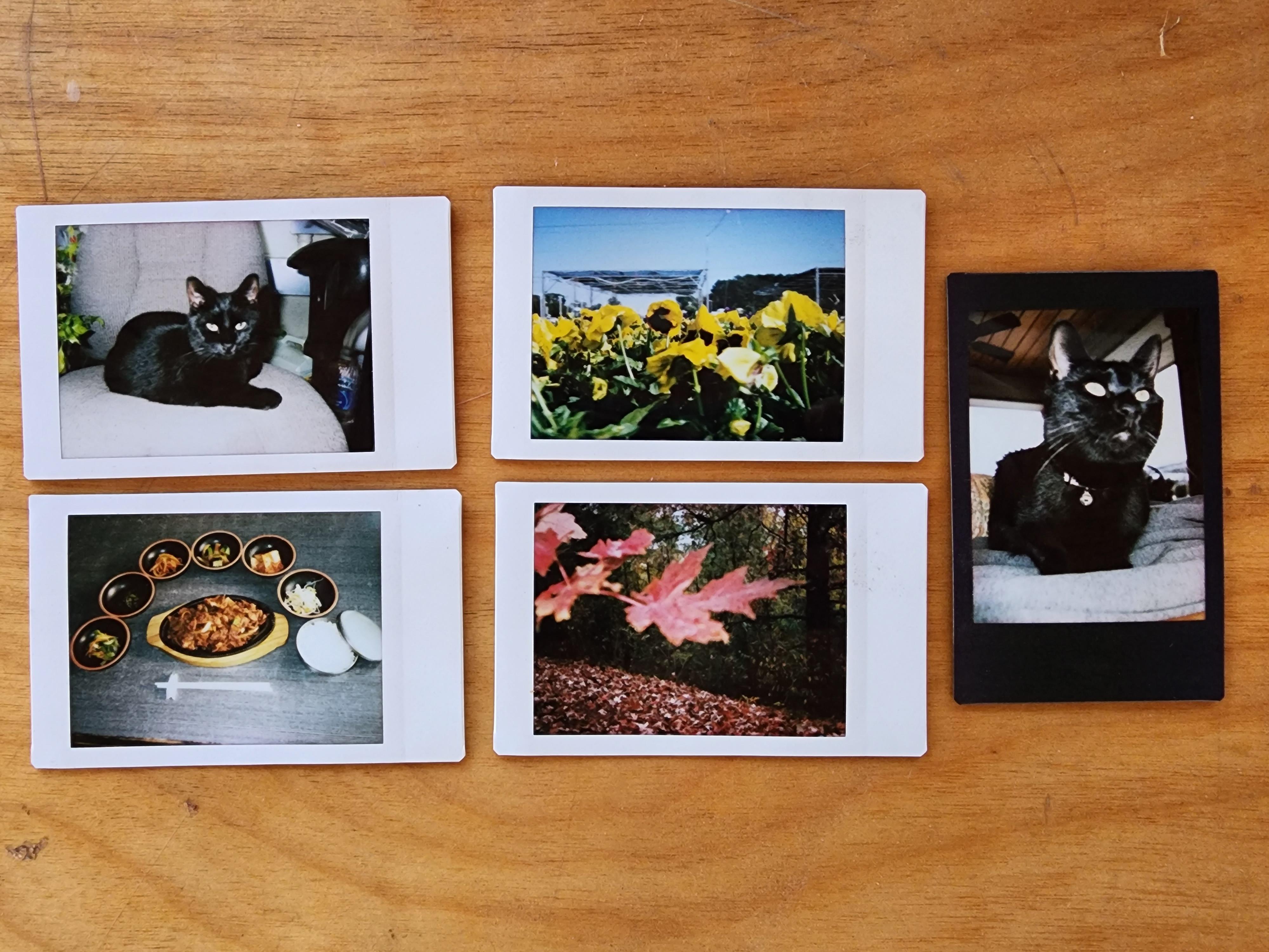 Loving my new camera | Scrolller