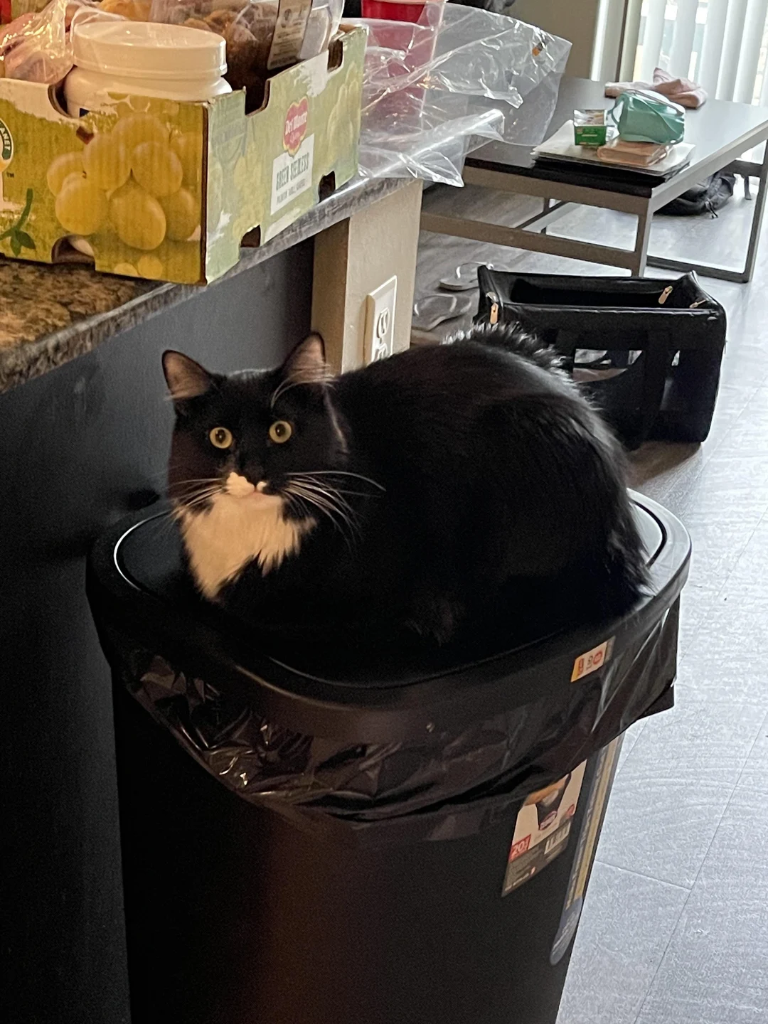 Garbage can loaf | Scrolller