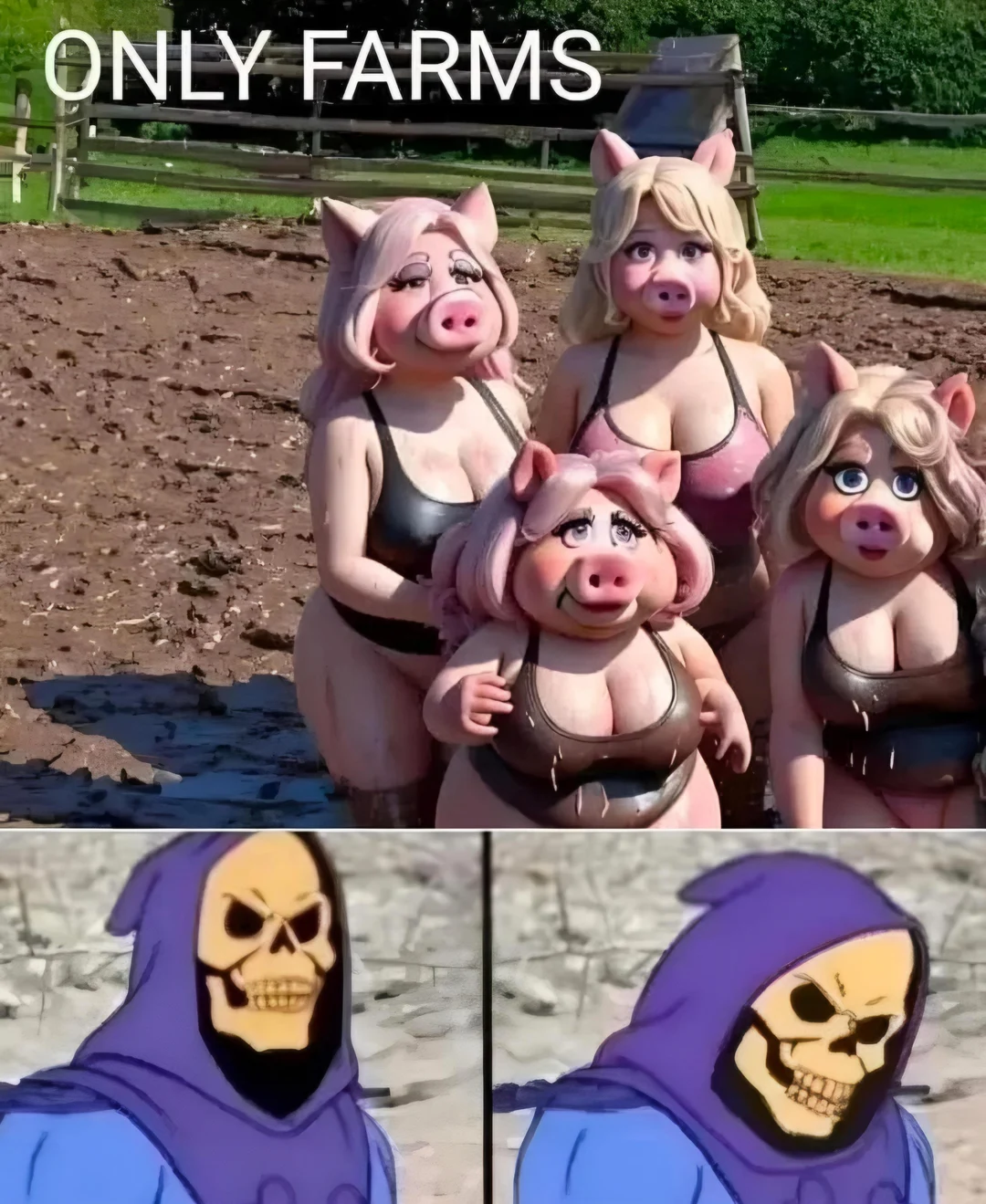 I think I visited a wrong farm | Scrolller