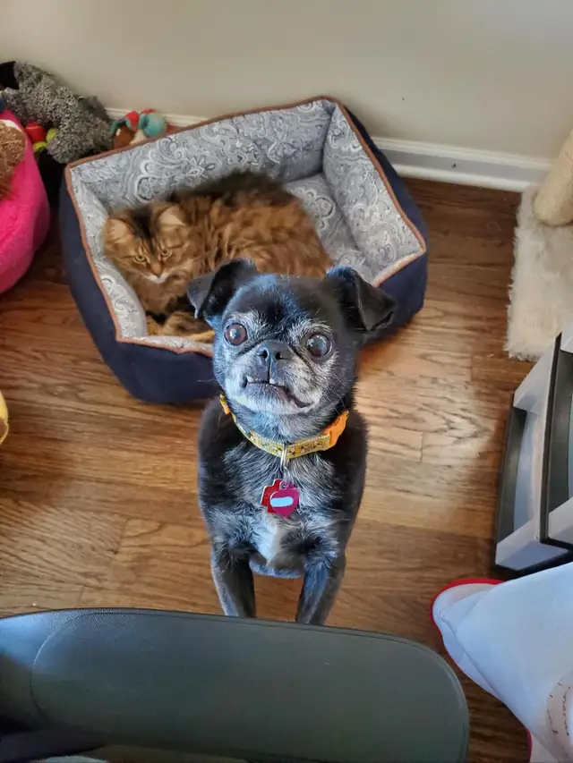 "Mom! Make her move!" | Scrolller