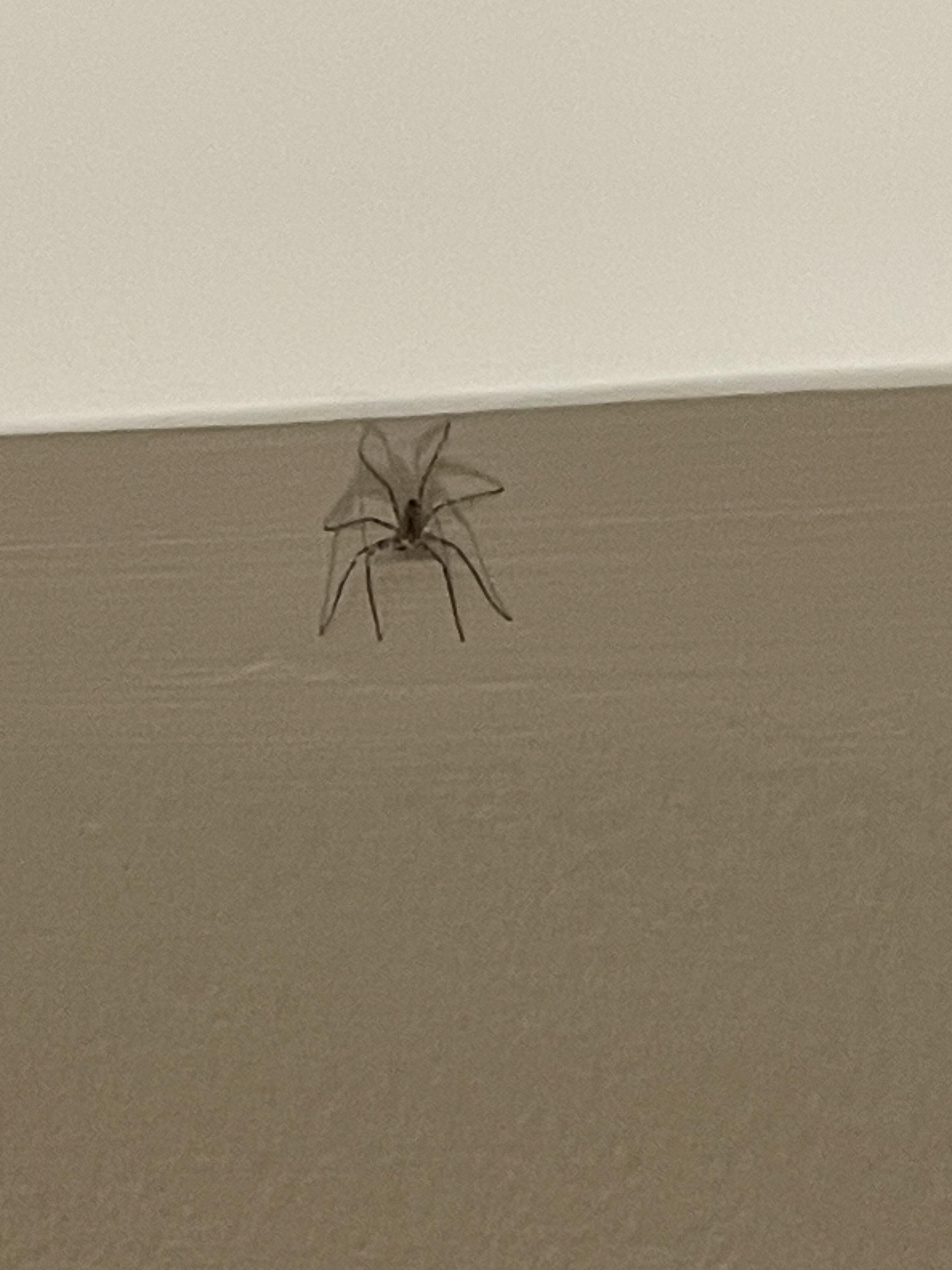 Who is this guy in Western Vermont? | Scrolller