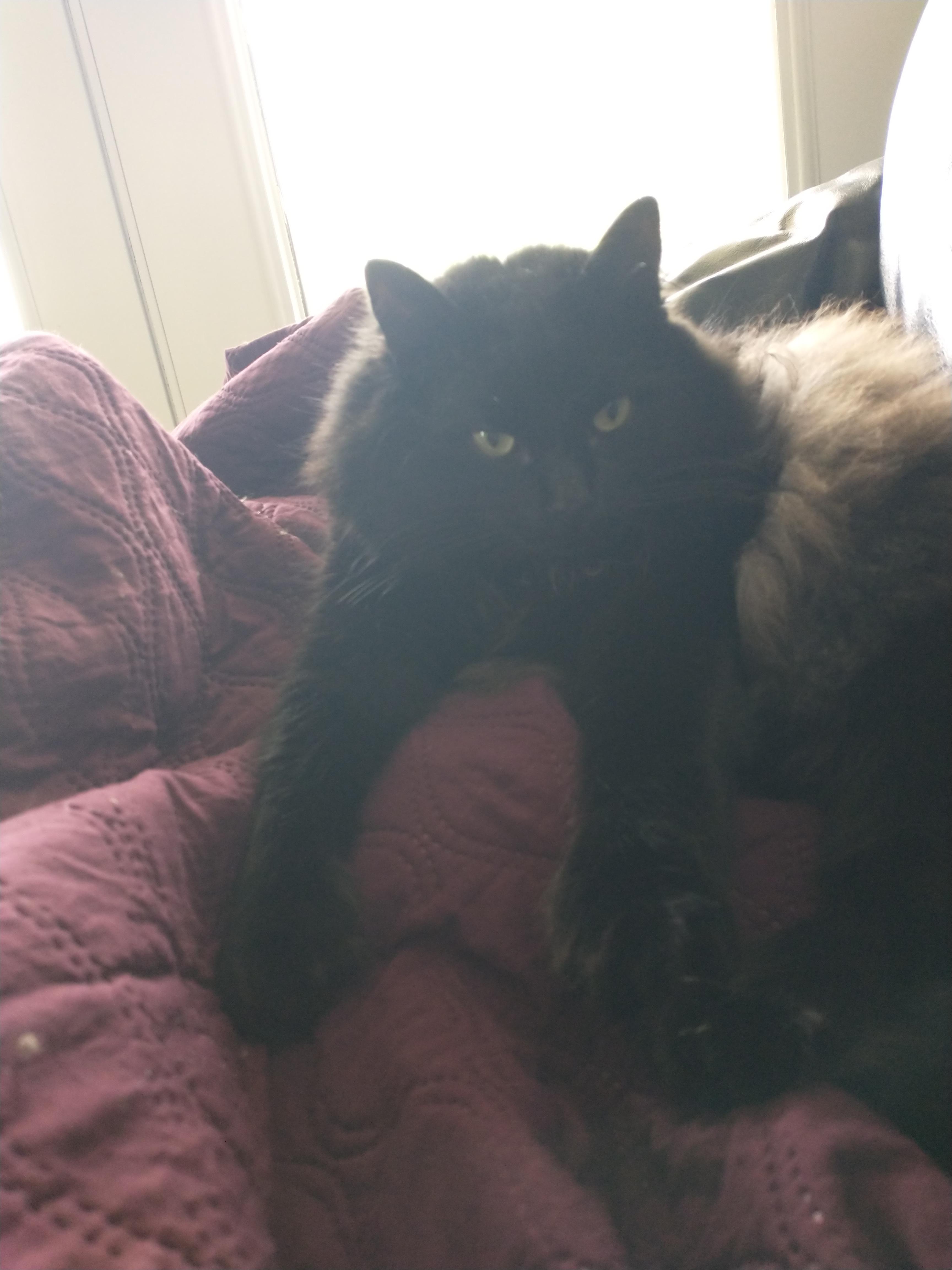 My big void/partner in crime. | Scrolller