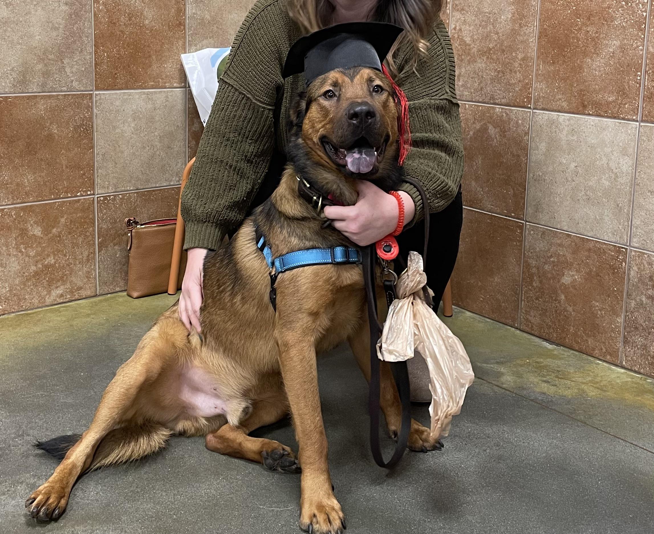 (OC)Graduation day! | Scrolller