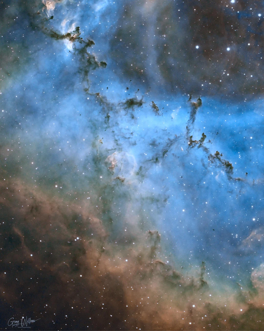 The core of the Rosette Nebula from my backyard | Scrolller