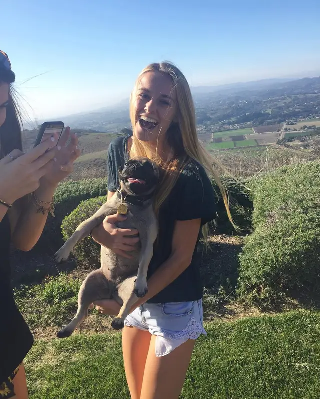 Pug-alicious | Scrolller