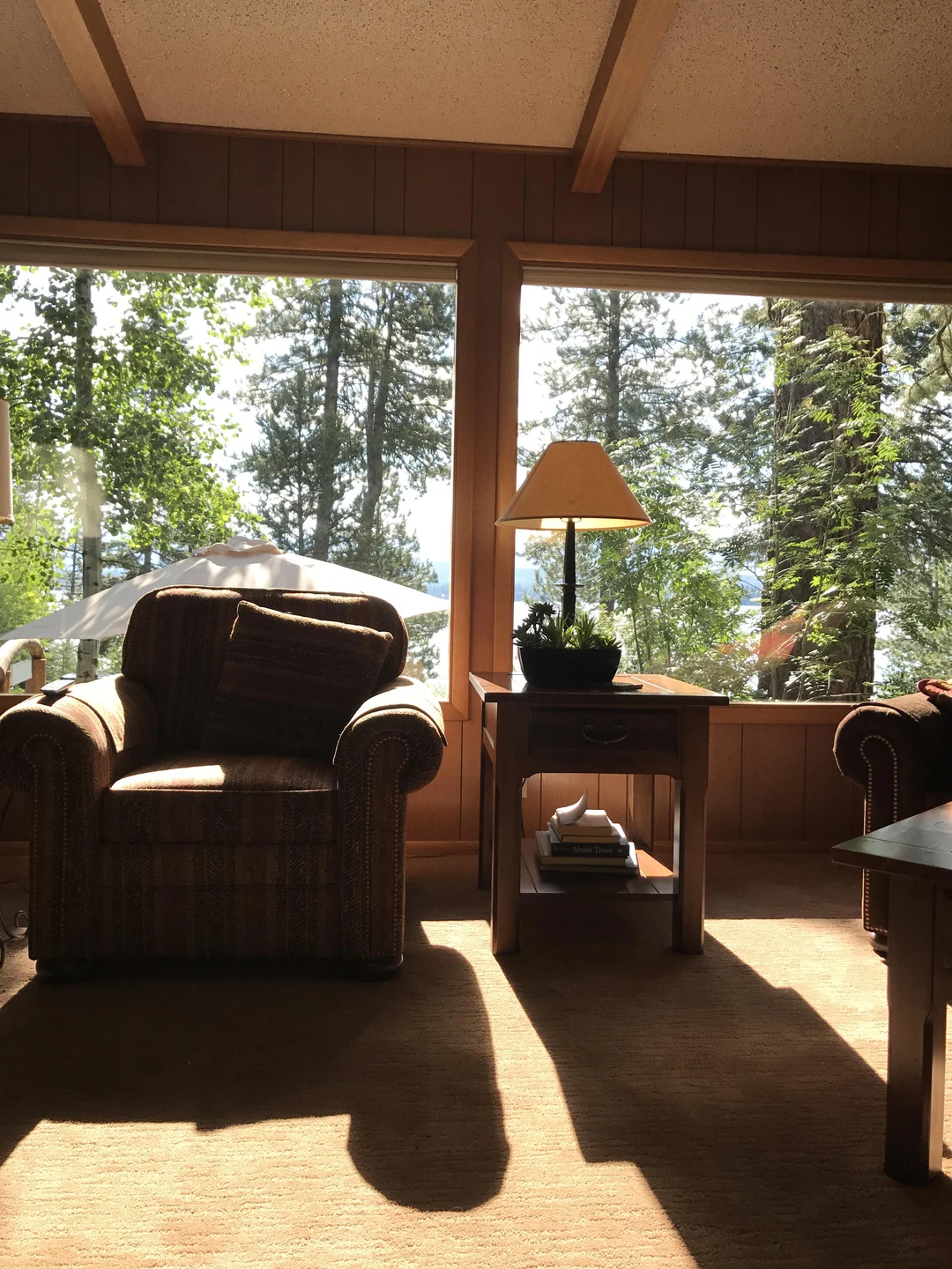 Morning Sun at the Cabin | Scrolller