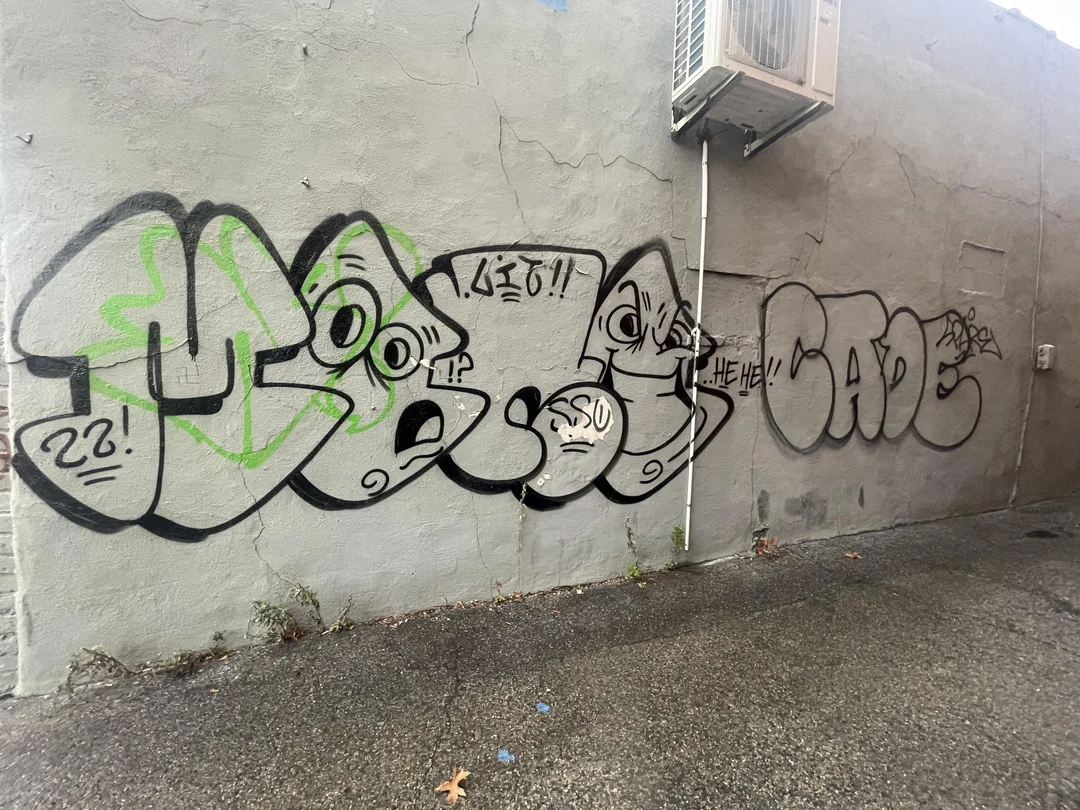 Queens, New York City... | Scrolller