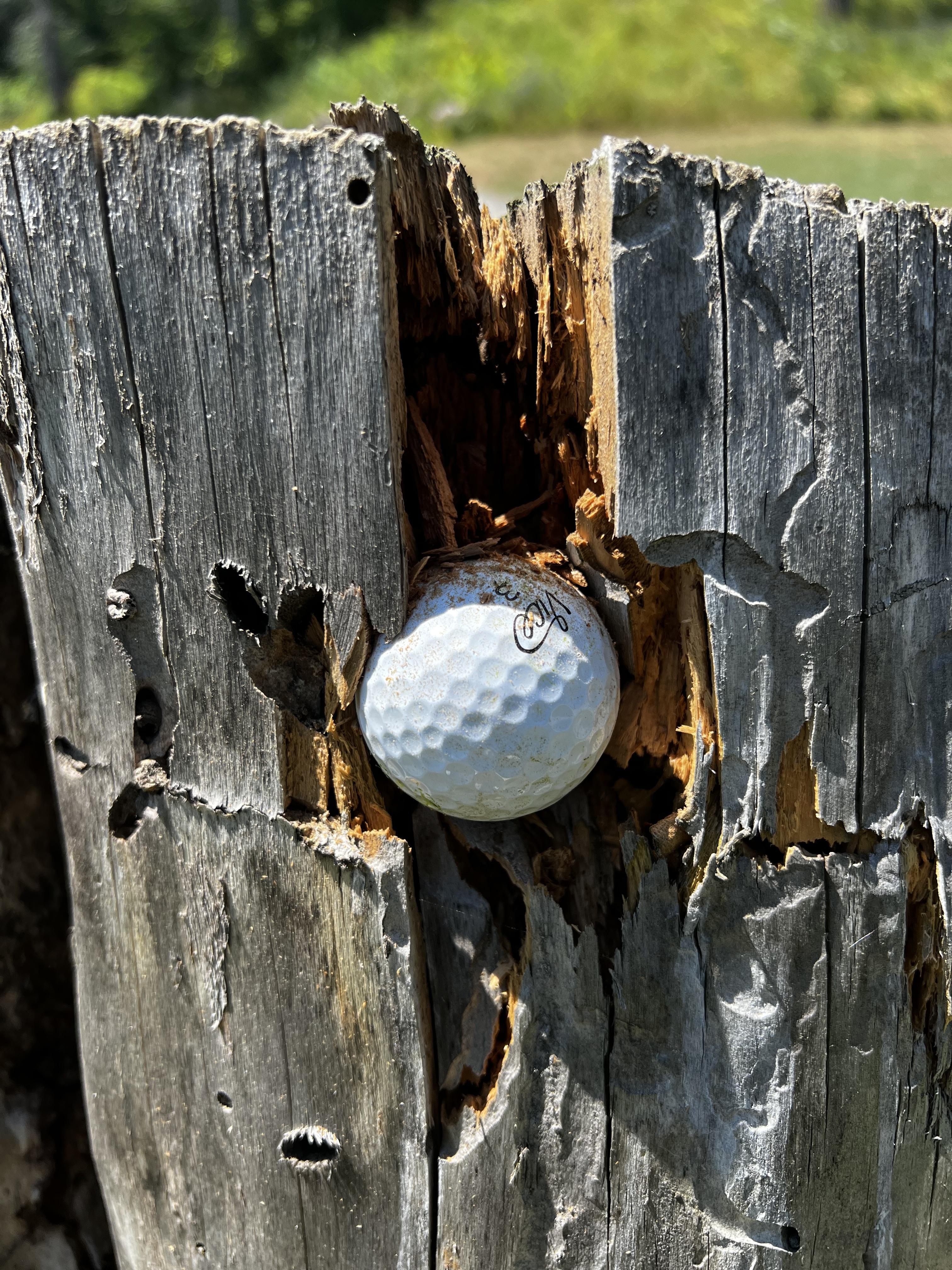 I’ve had worse lies. | Scrolller