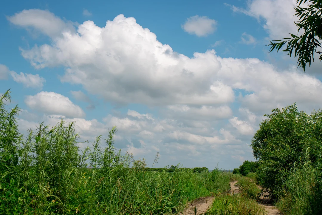 Fluffy clouds above Amur region | Scrolller