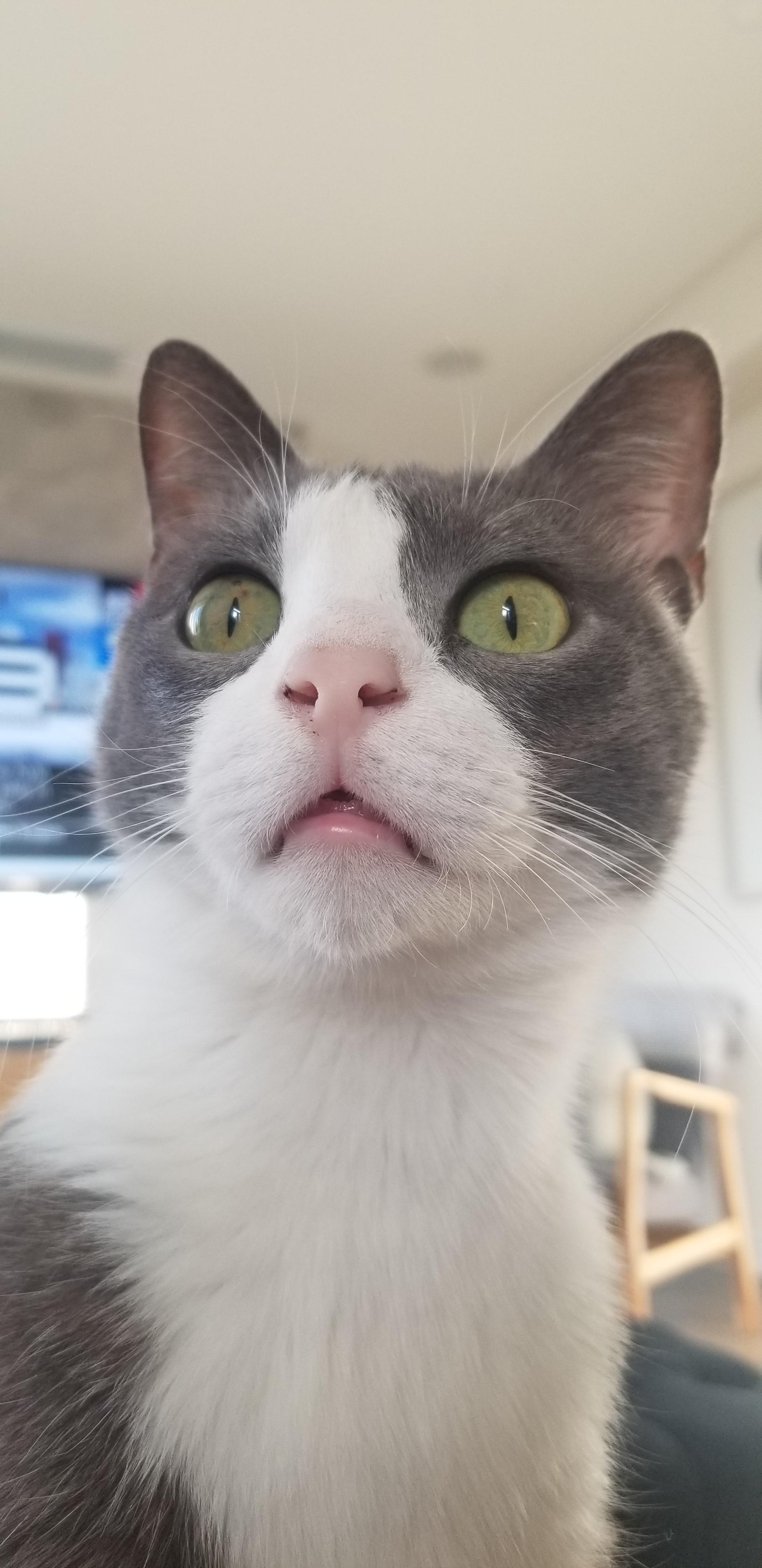 What has been seen cannot be unseen... | Scrolller