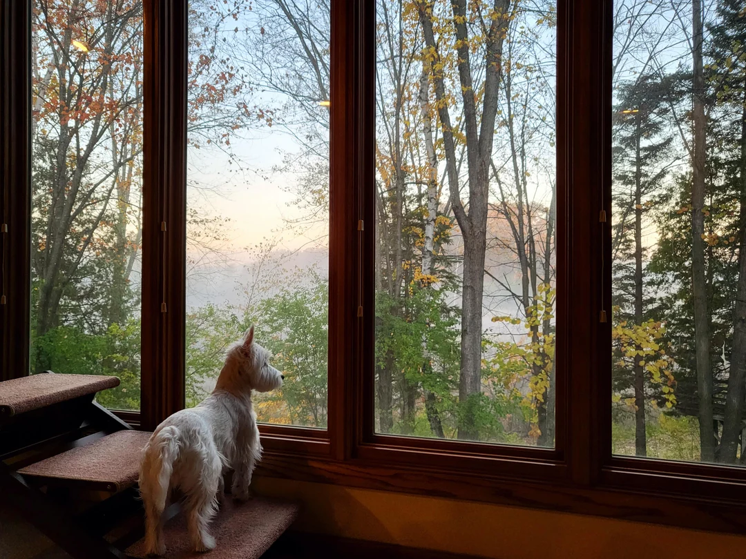 Foggy fall morning | Scrolller