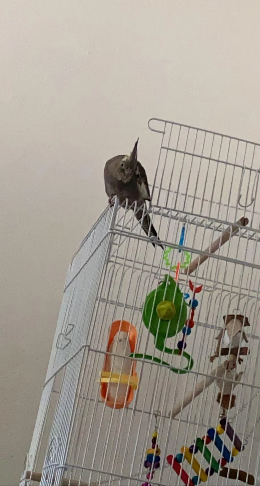 He’s plotting my demise. I just know it | Scrolller