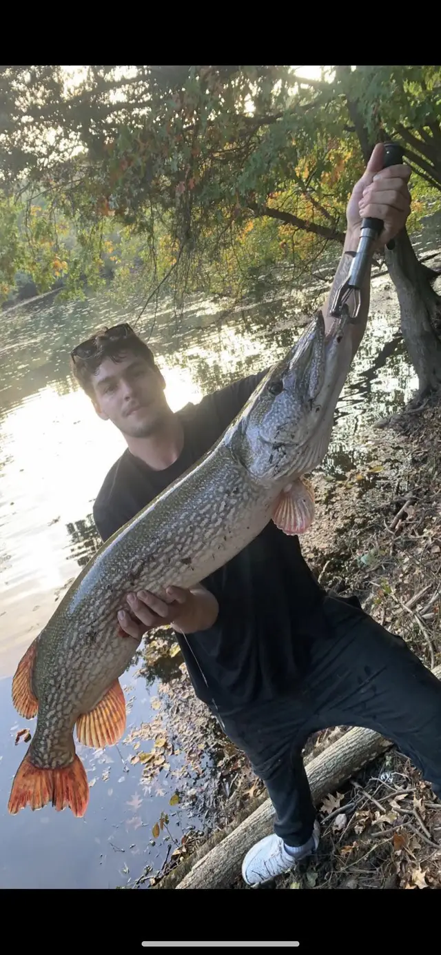 Scale was bouncing between 24-25. Caught from north New Jersey. | Scrolller