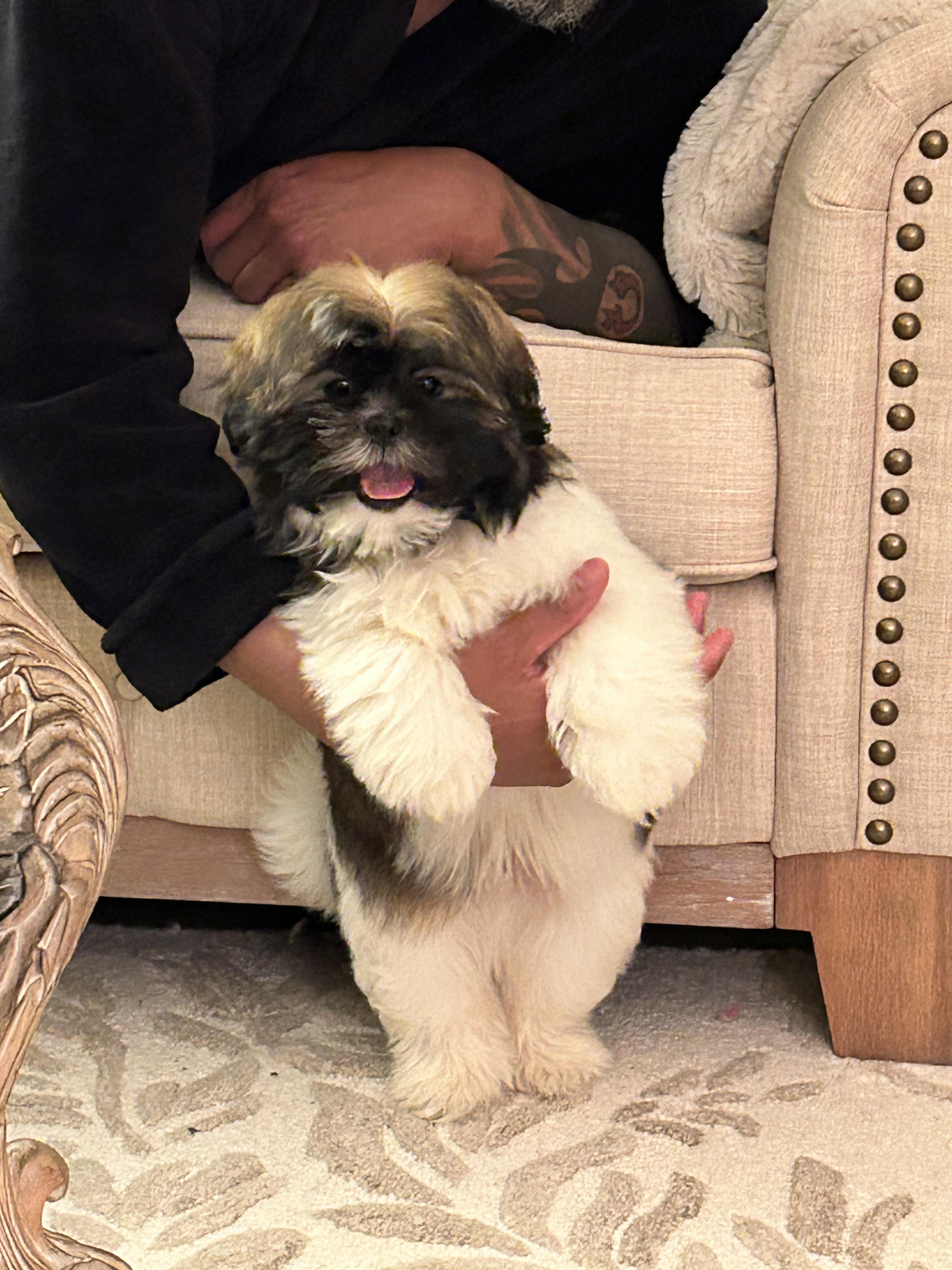 Perfect Henry! | Scrolller