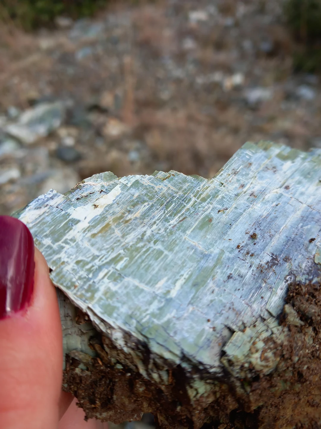 Serpentinite (Metamorphic rock) | Scrolller