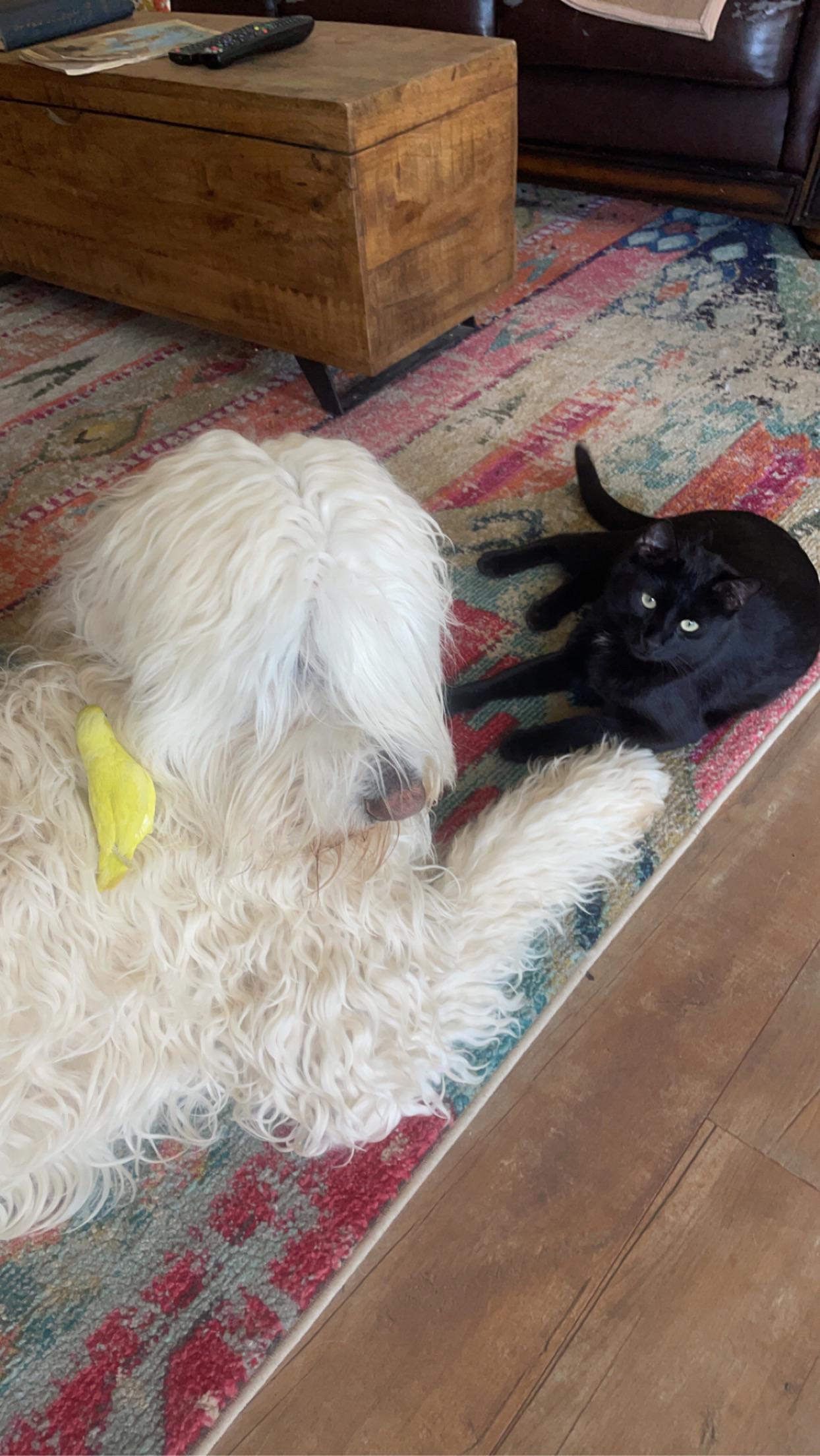 Lazy weekday with the crew. | Scrolller