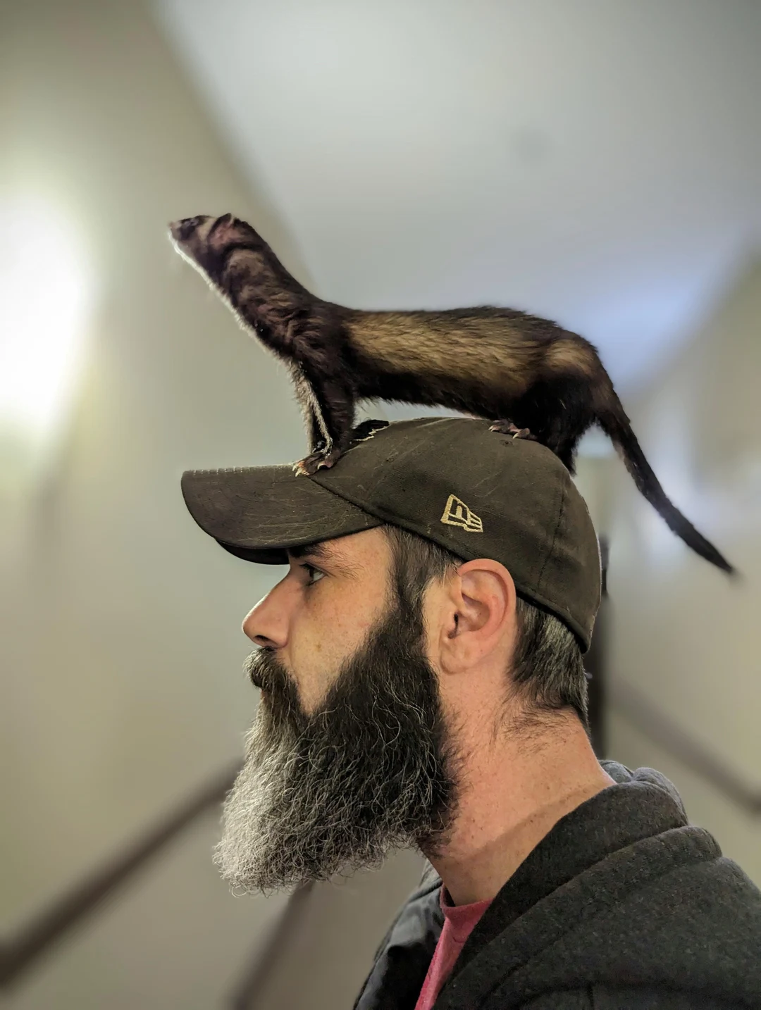 Georgia in adventure mode!! | Scrolller