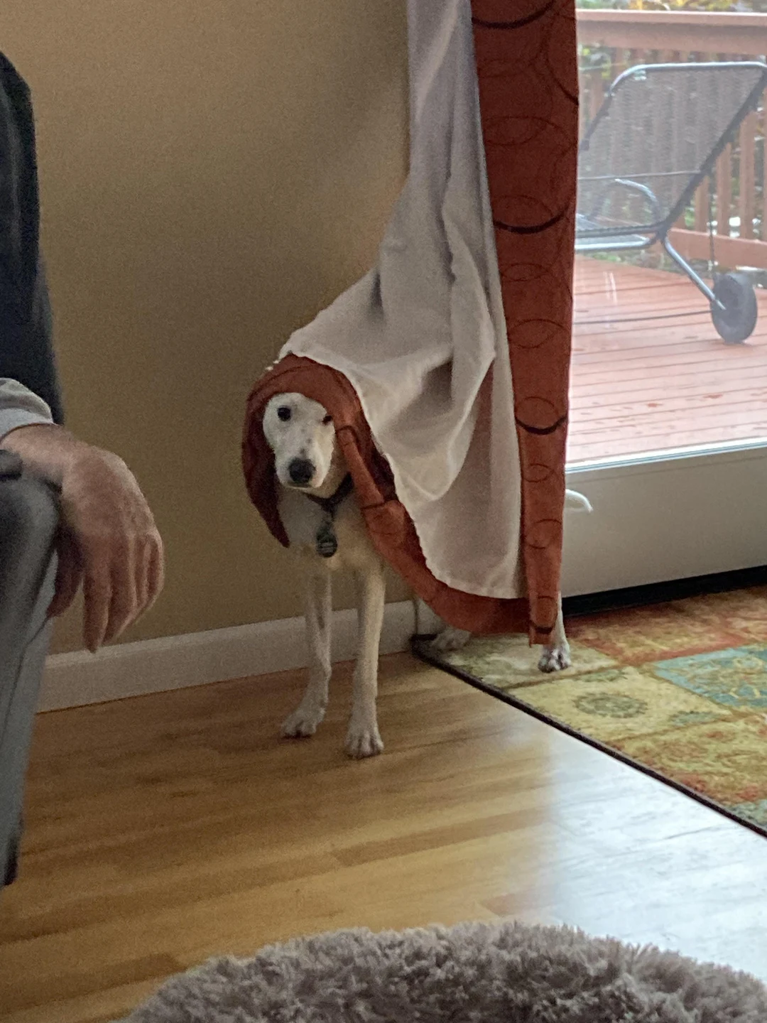 Guys, my house is haunted! | Scrolller