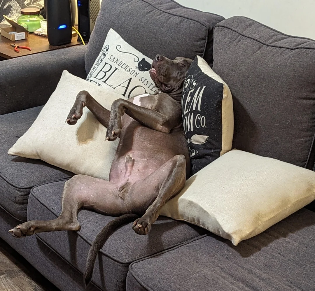 Chill mode activated? | Scrolller