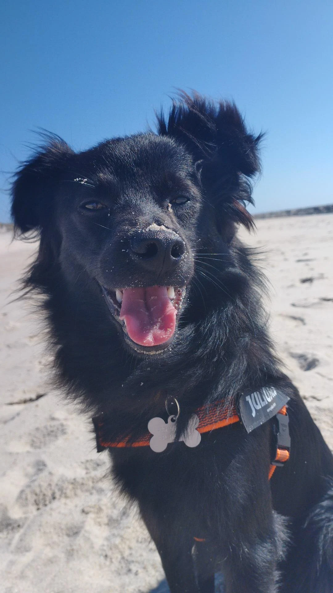 It's officially hole digging season | Scrolller