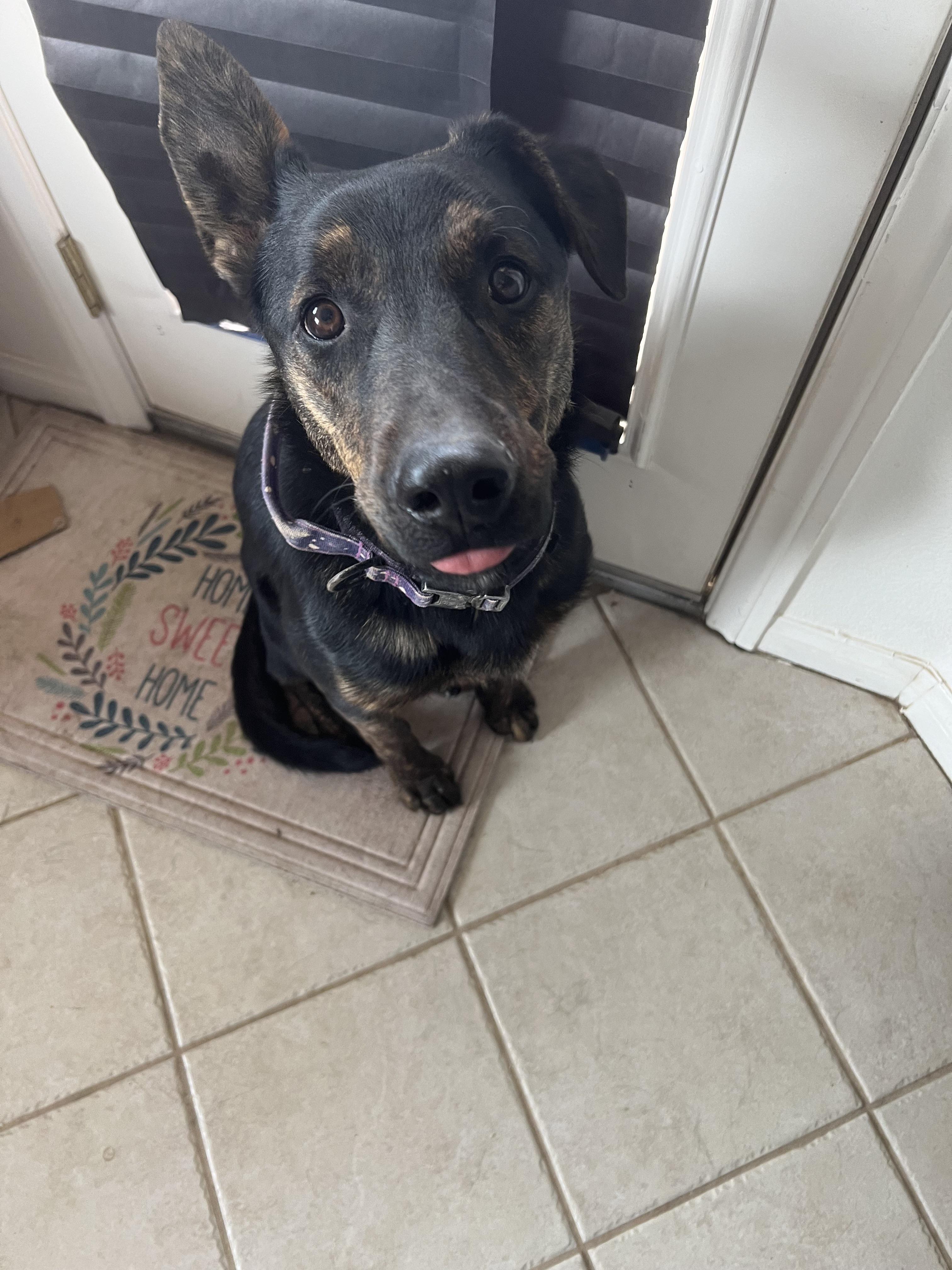 Big ol’ bleppy boi | Scrolller