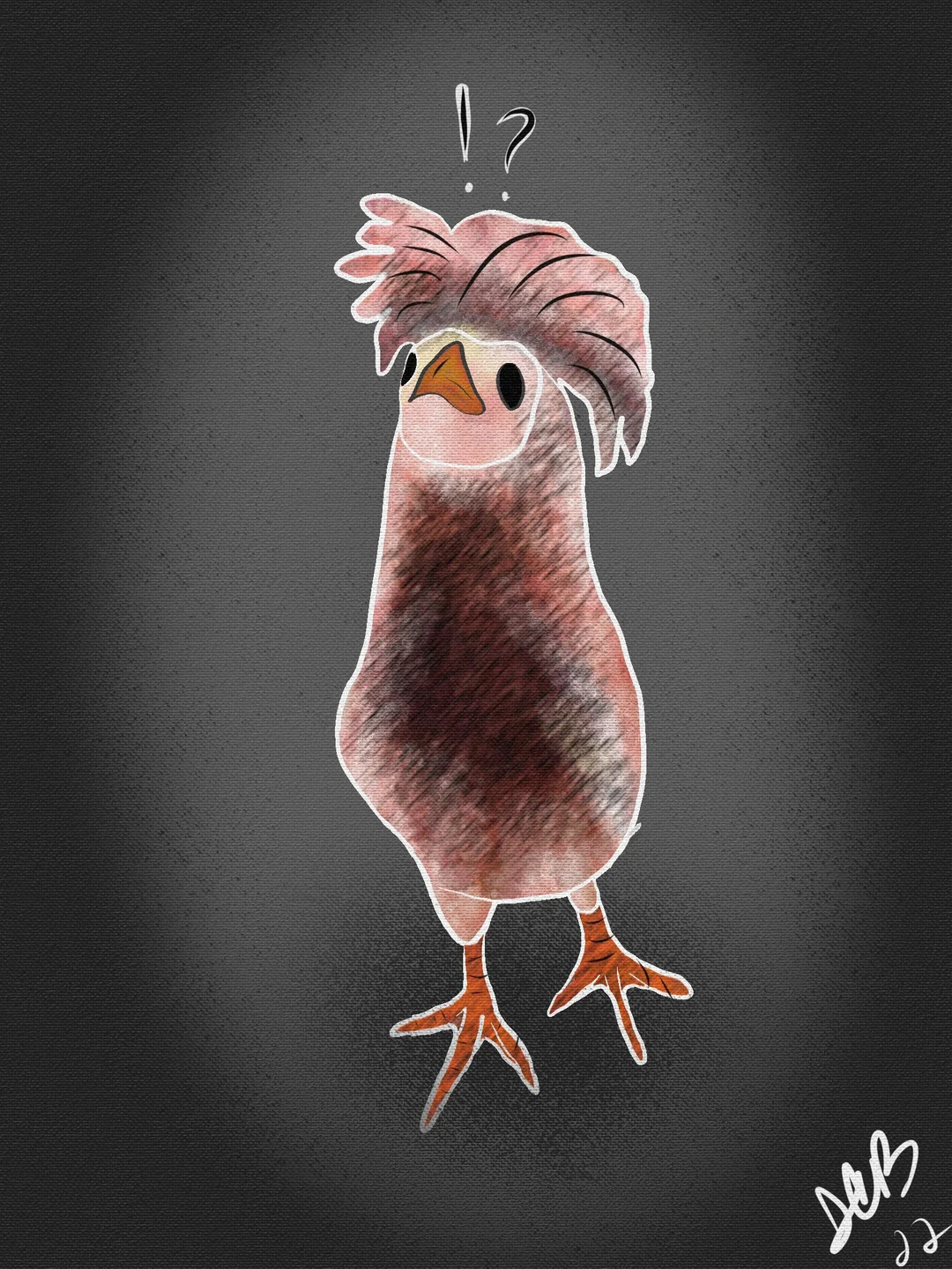 Dolores the Polish Chicken | Scrolller