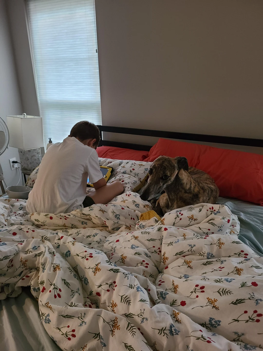 Mabel hanging out with her buddy, my nephew | Scrolller