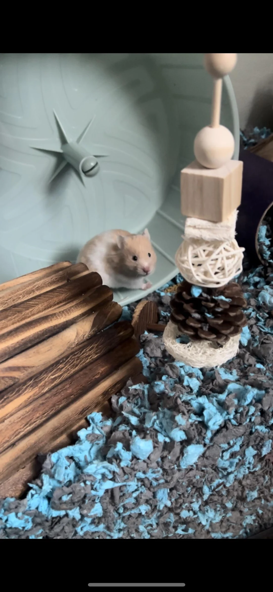 Meet Lilith | Scrolller