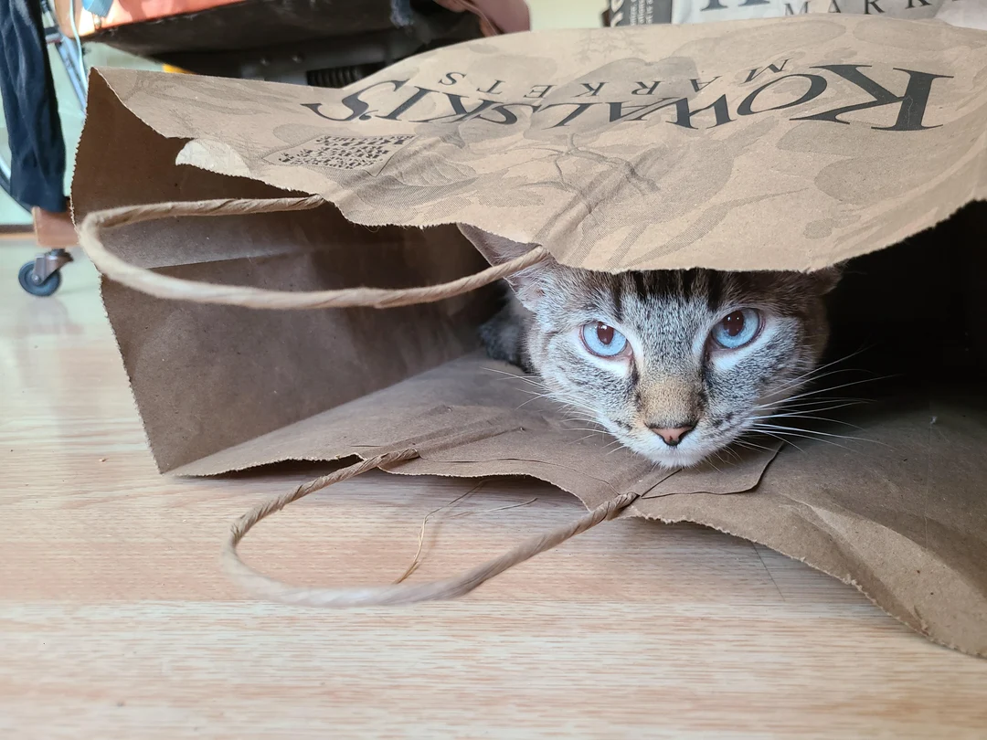 Immediate capture | Scrolller