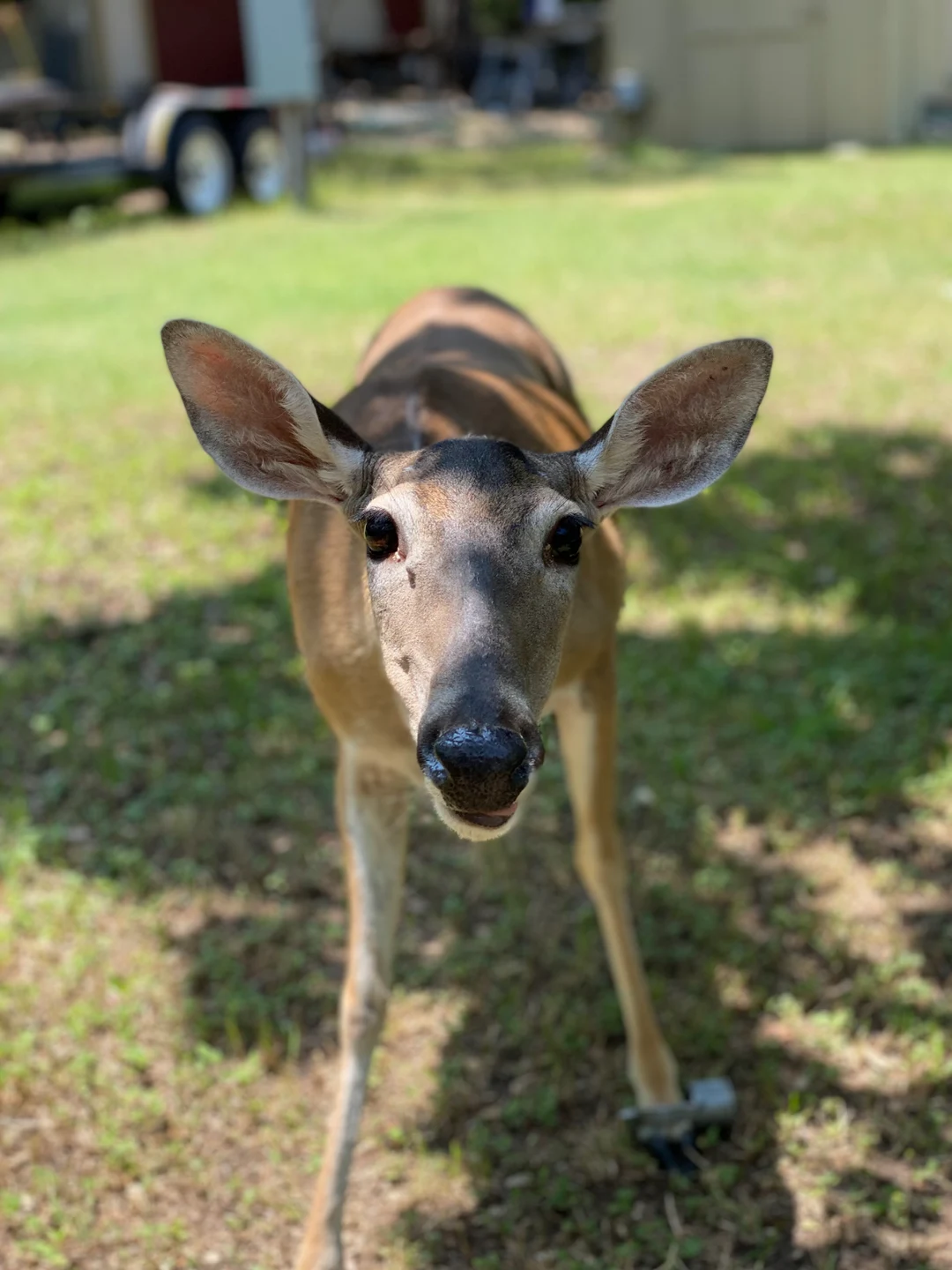 Today's friend encounter | Scrolller