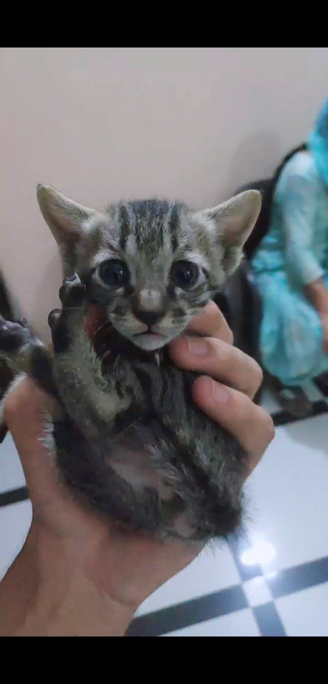 Scary sharp claws | Scrolller