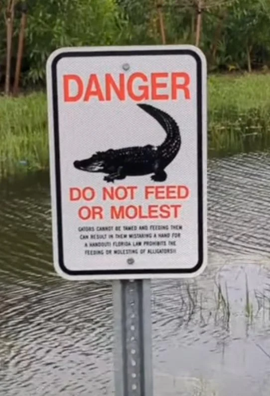 Alligator moments | Scrolller