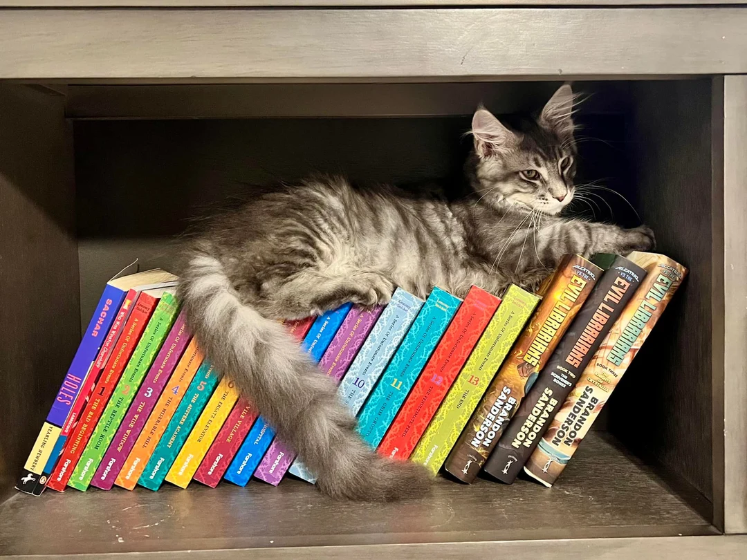 Huggyface turned into a Bookworm | Scrolller