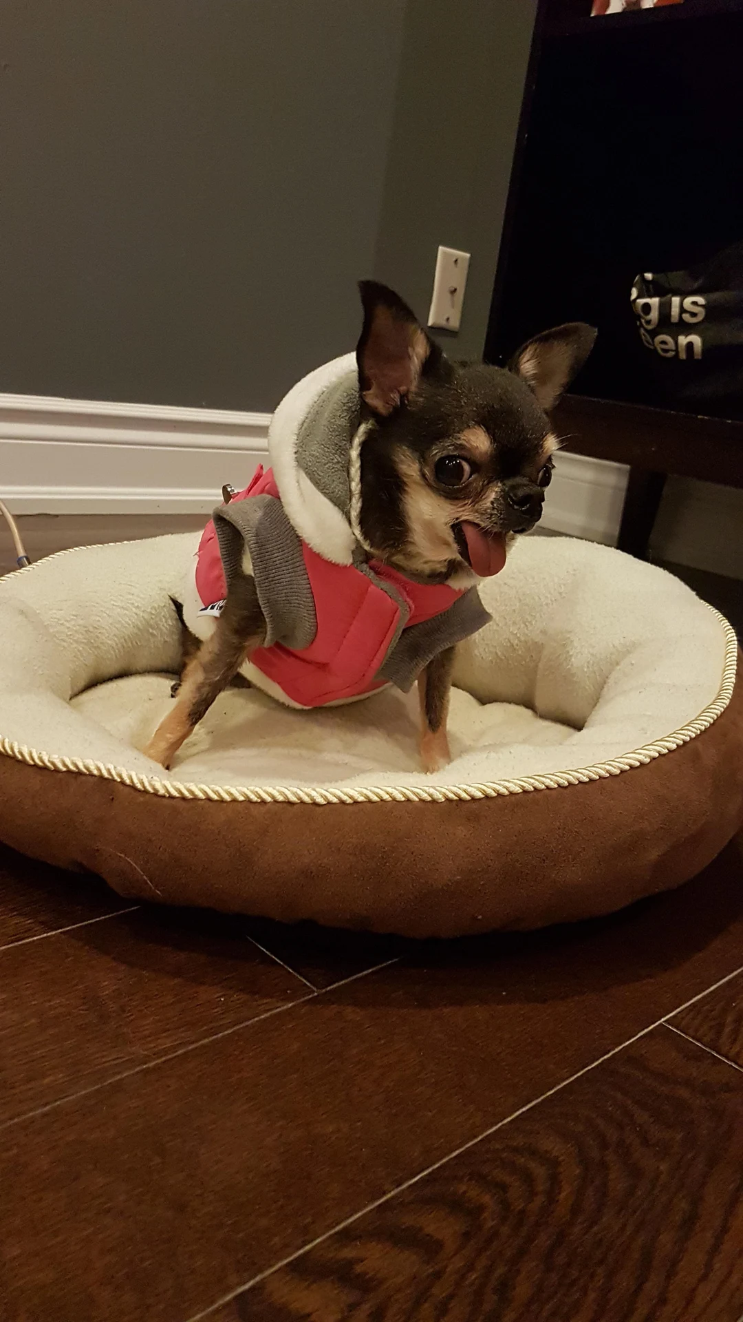 Absolutely nothing :) | Scrolller