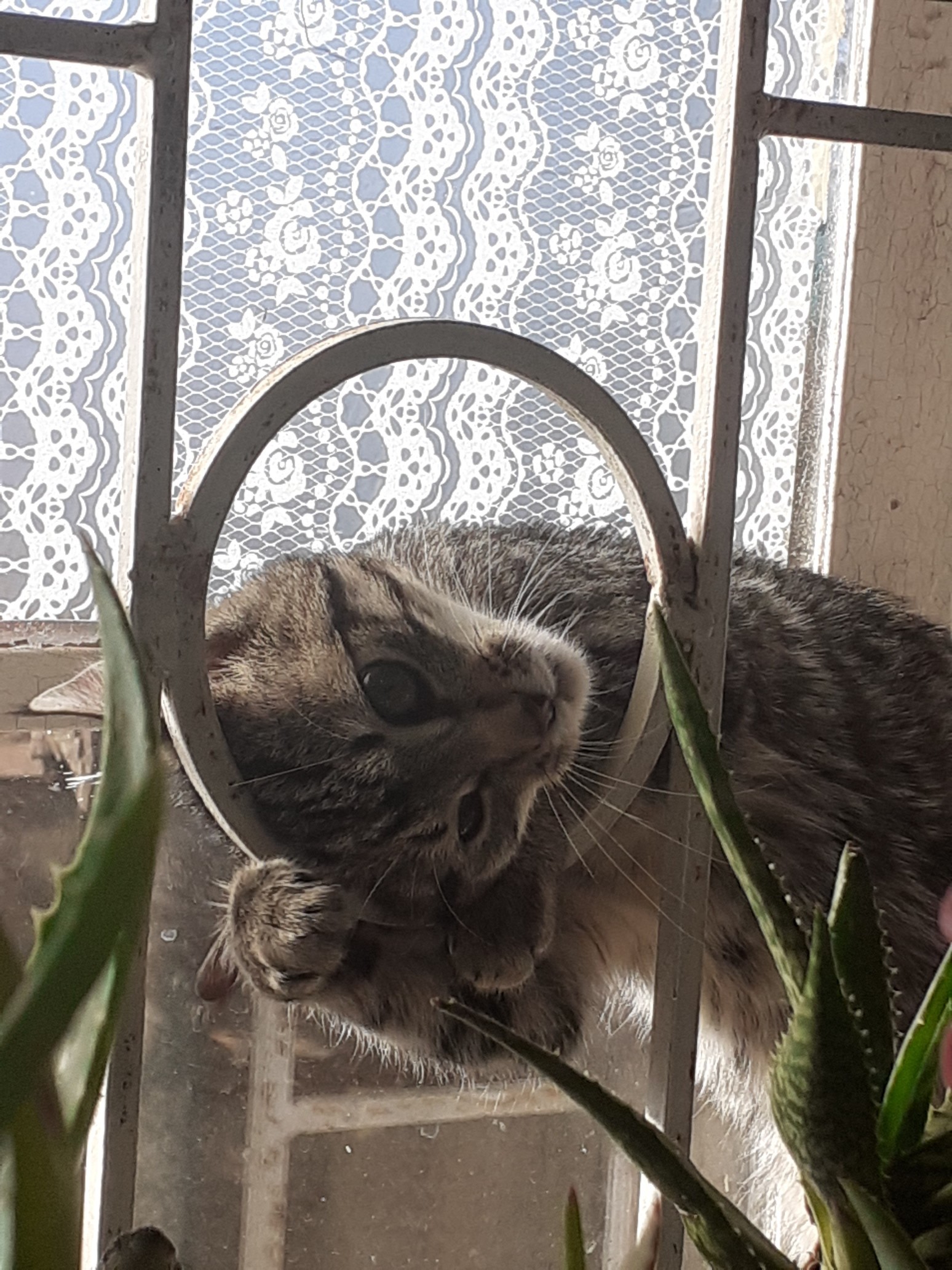 this is one of my weirdos, thought y'all might like her💗 | Scrolller