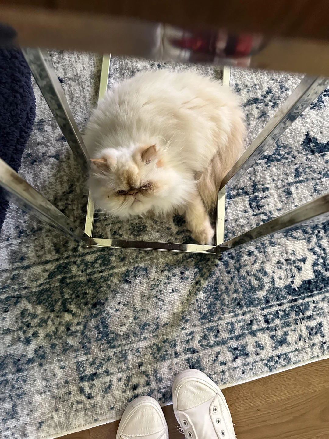 Trapped and grumpy | Scrolller