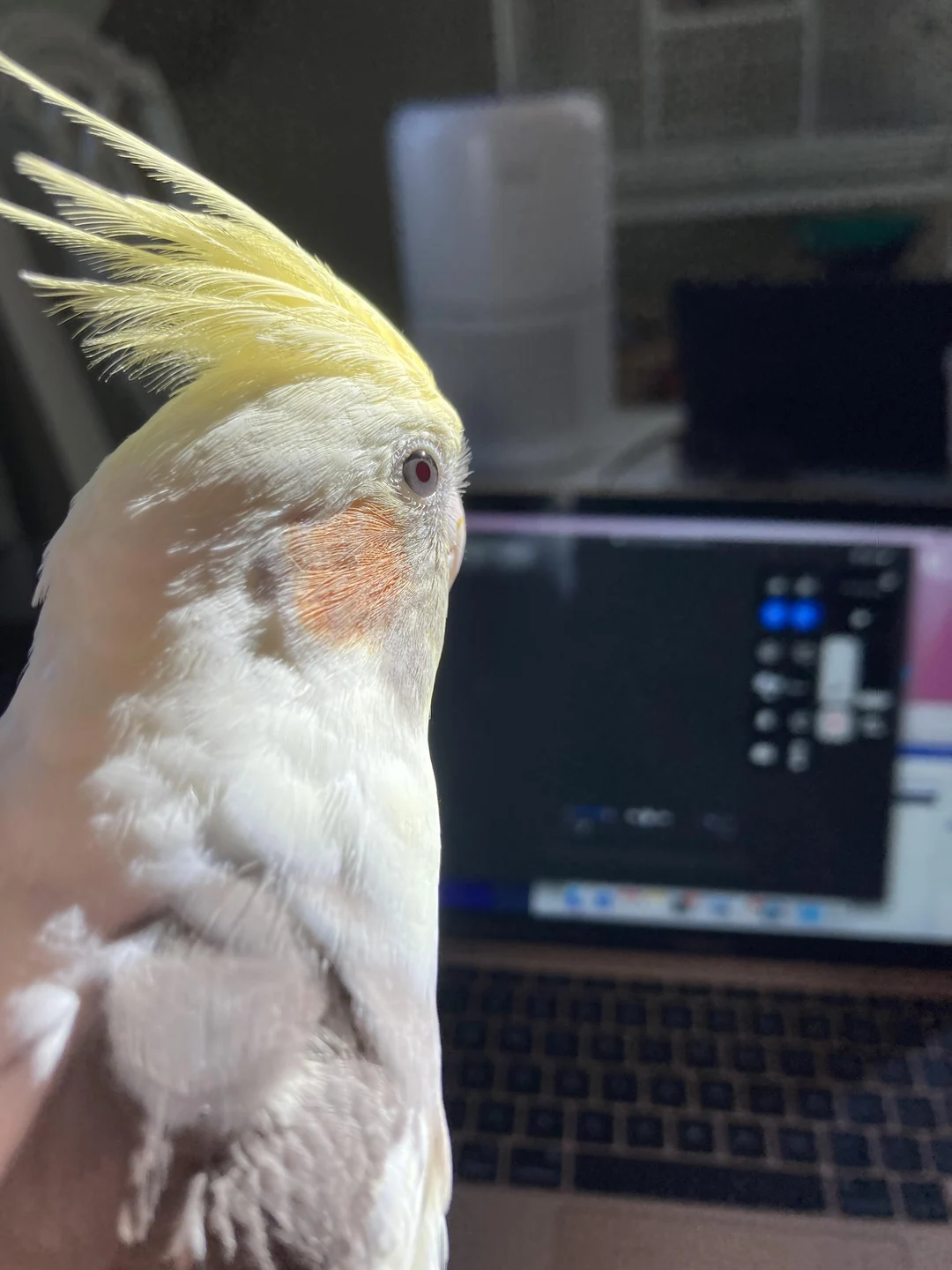 My sons eye | Scrolller