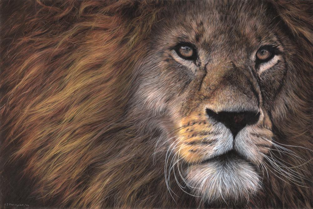 "Watching On", Alex Fleming, pastels, 2022 | Scrolller