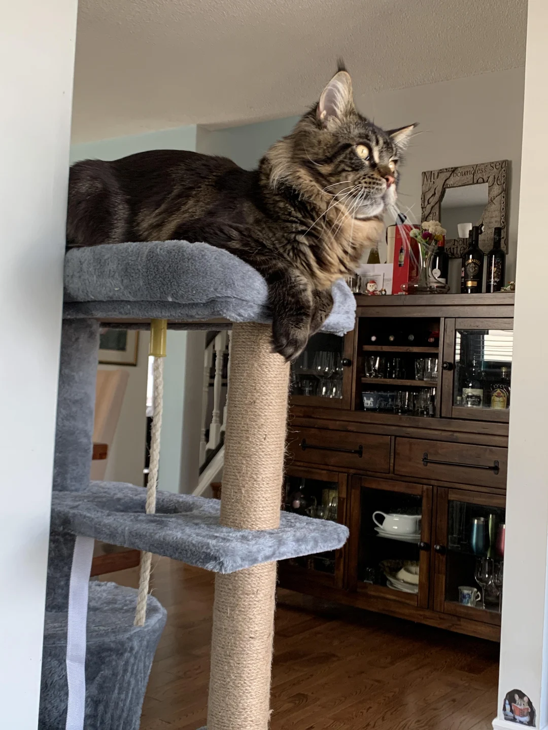 Sneezing | Scrolller