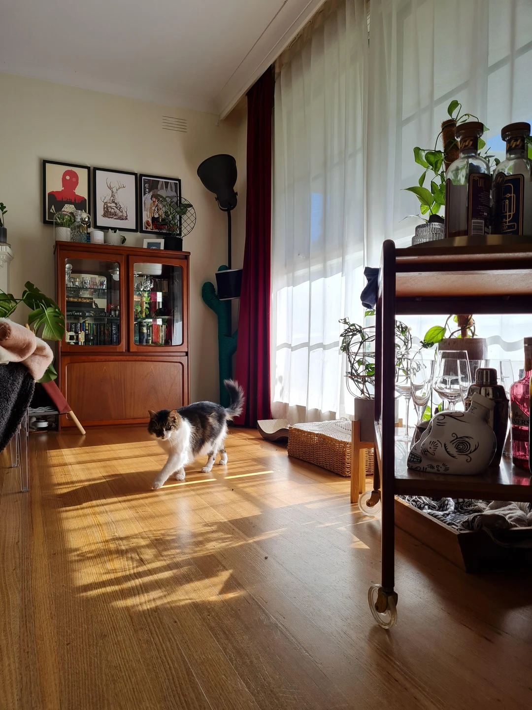 Basking in the evening sun | Scrolller