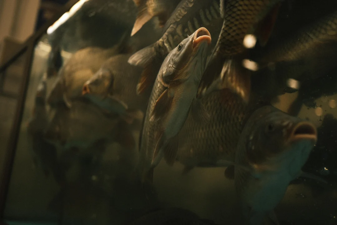 Happiness in every second | Scrolller