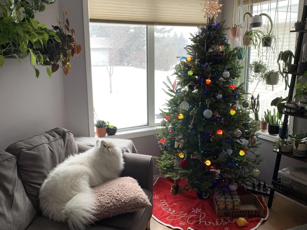 She loves this corner | Scrolller