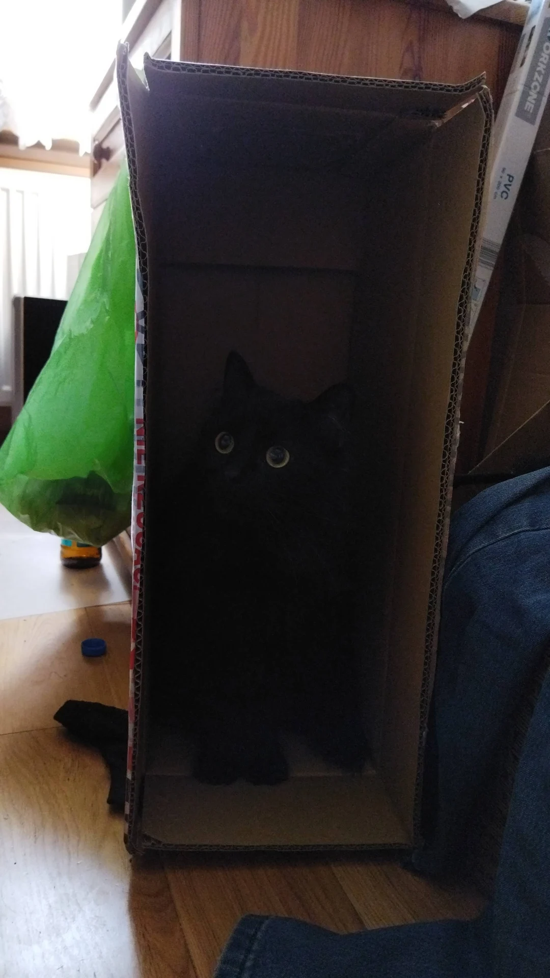 Vertical void trap | Scrolller