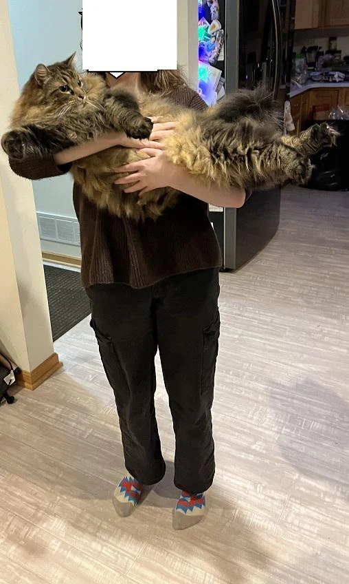 Size unlimited | Scrolller