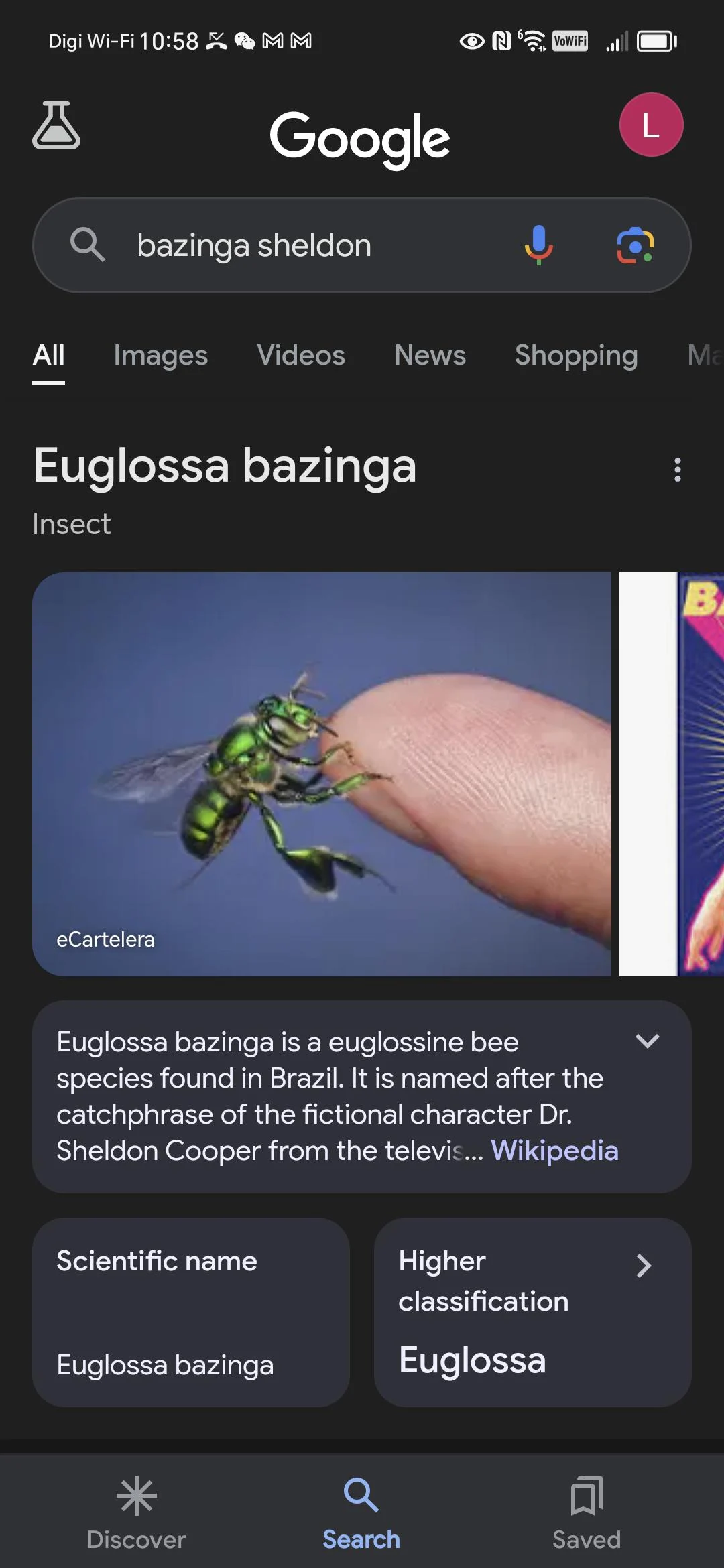 Bazinga man has turned into an insect. | Scrolller