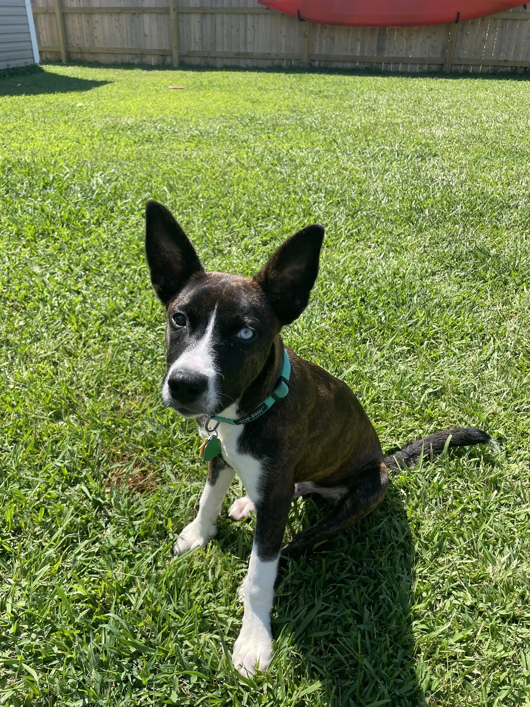 Theodore Atlas | Scrolller